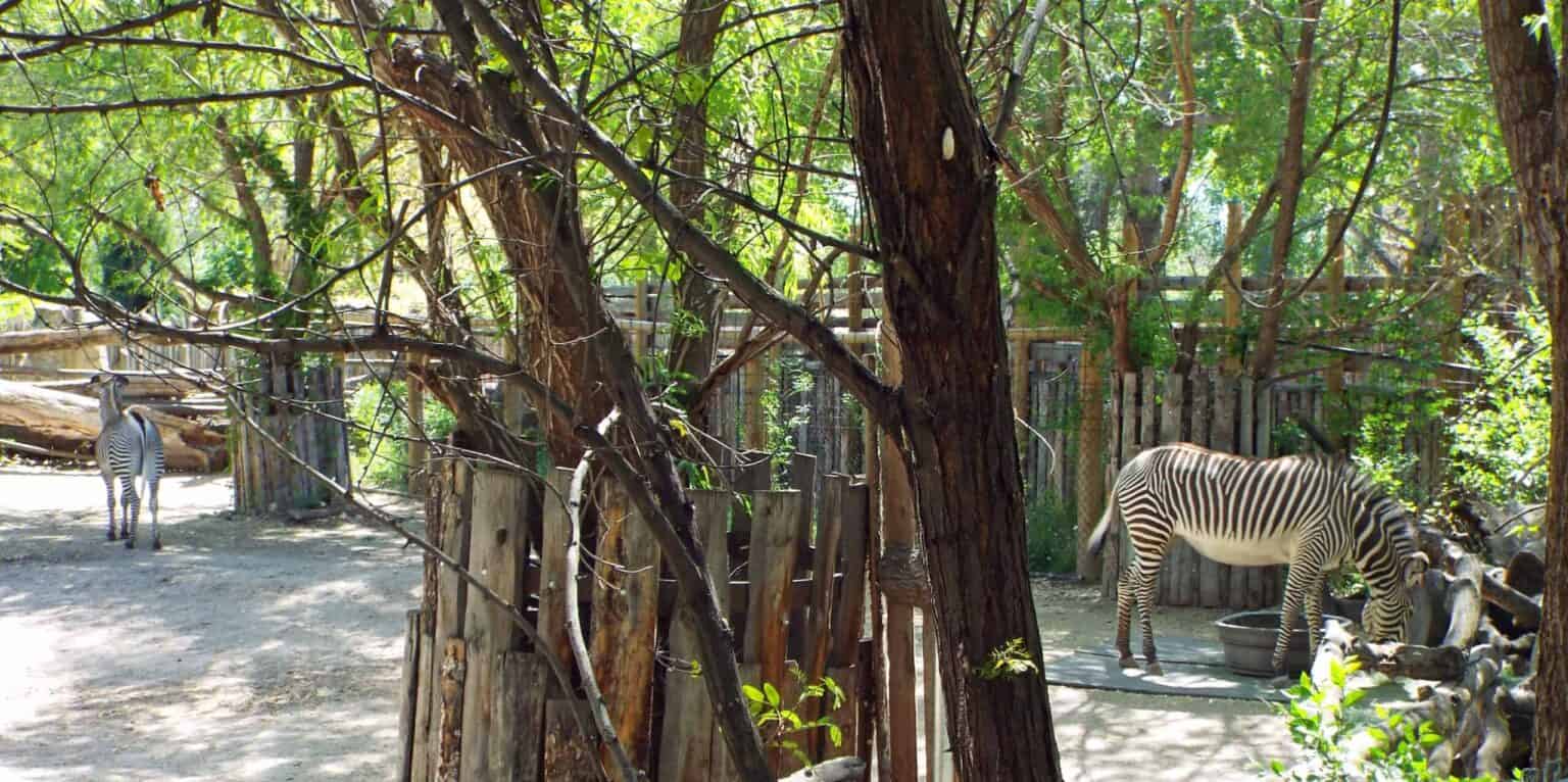 9 Pacific Northwest Zoos My Kids Love (A Parent's Rating...)