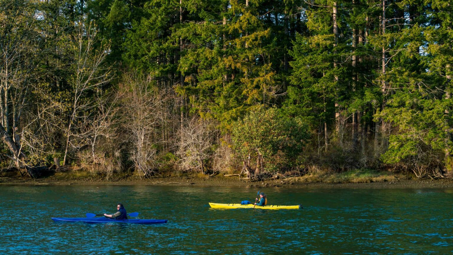 Kayaking Washington's Puget Sound - 7 Best Spots To Explore