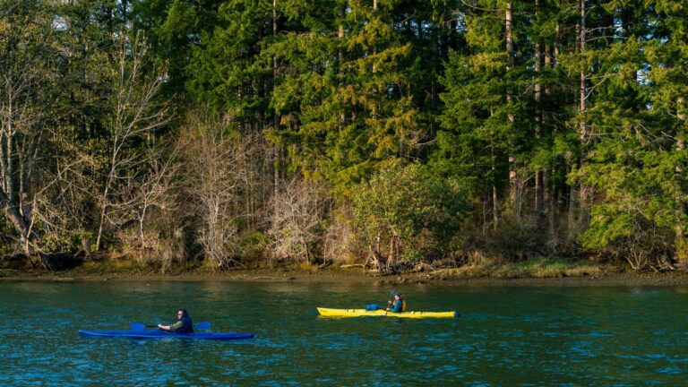 Kayaking Washington's Puget Sound - 7 Best Spots To Explore