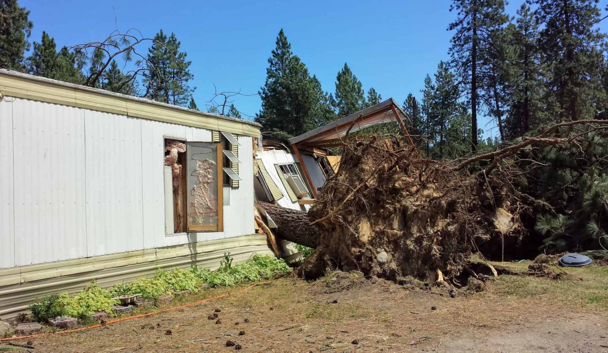 7 Most Common Natural Disasters In Washington (Hurricanes!?)