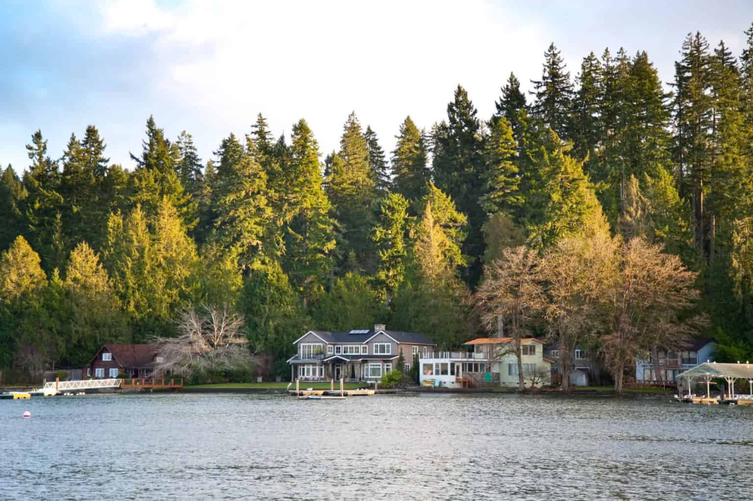 Save The Pacific Northwest Tree Octopus! (How You Can Help)