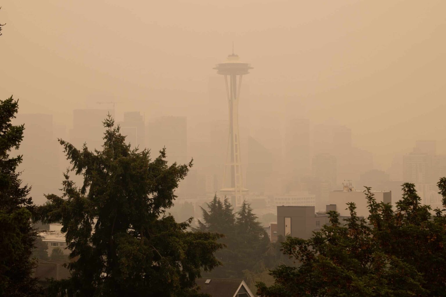 My Hate Letter To Seattle - 11 Worst Things About The City