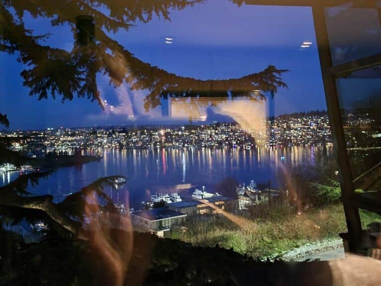 21 Best Views In Seattle (The Skyline, Restaurants, etc.)