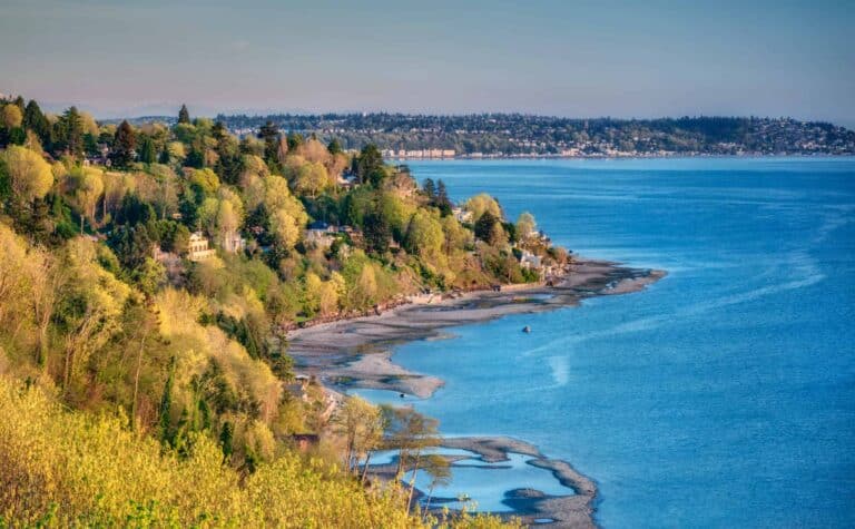 21 Best Views In Seattle (The Skyline, Restaurants, etc.)