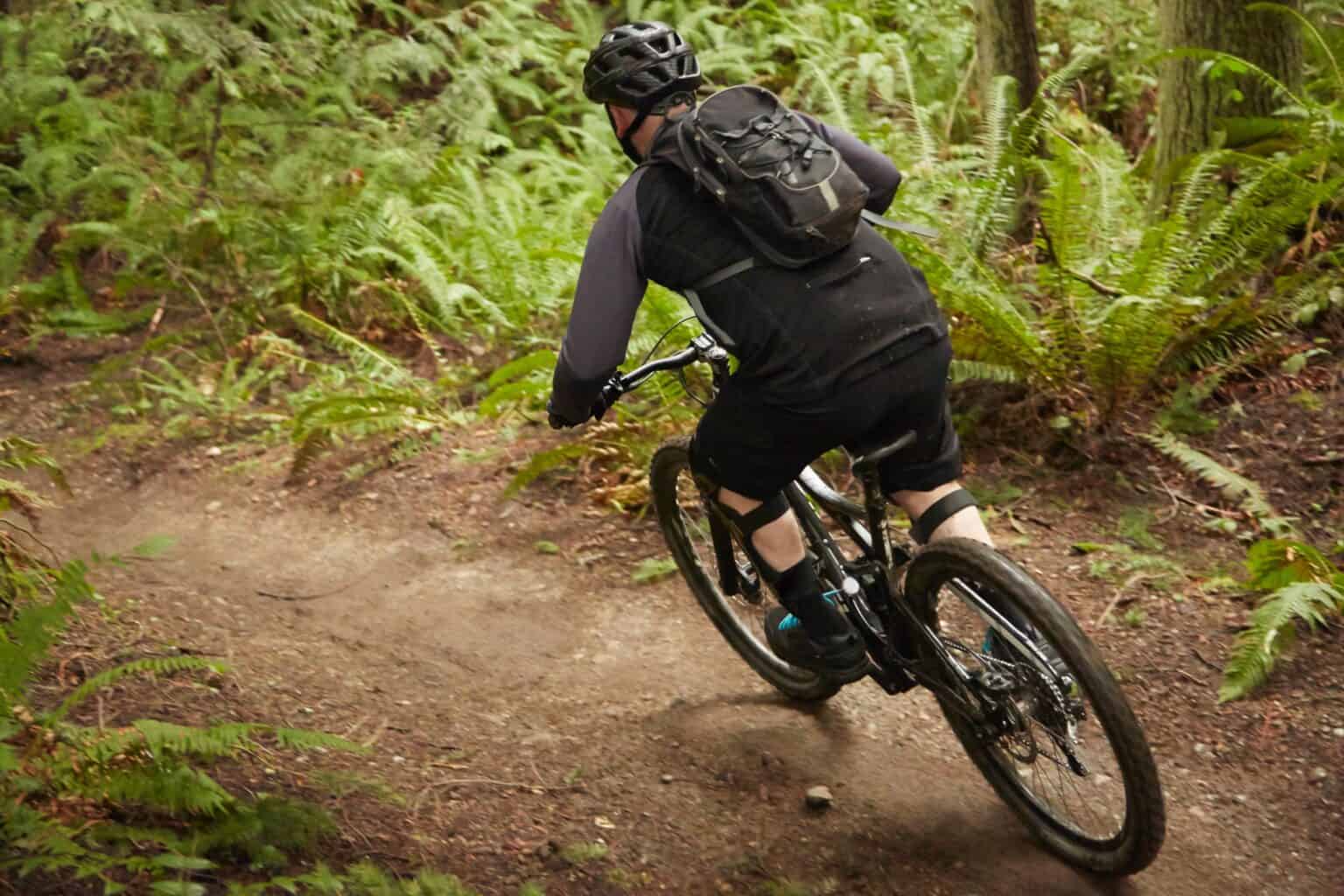 The 13 Best Hikes In Sammamish, Washington