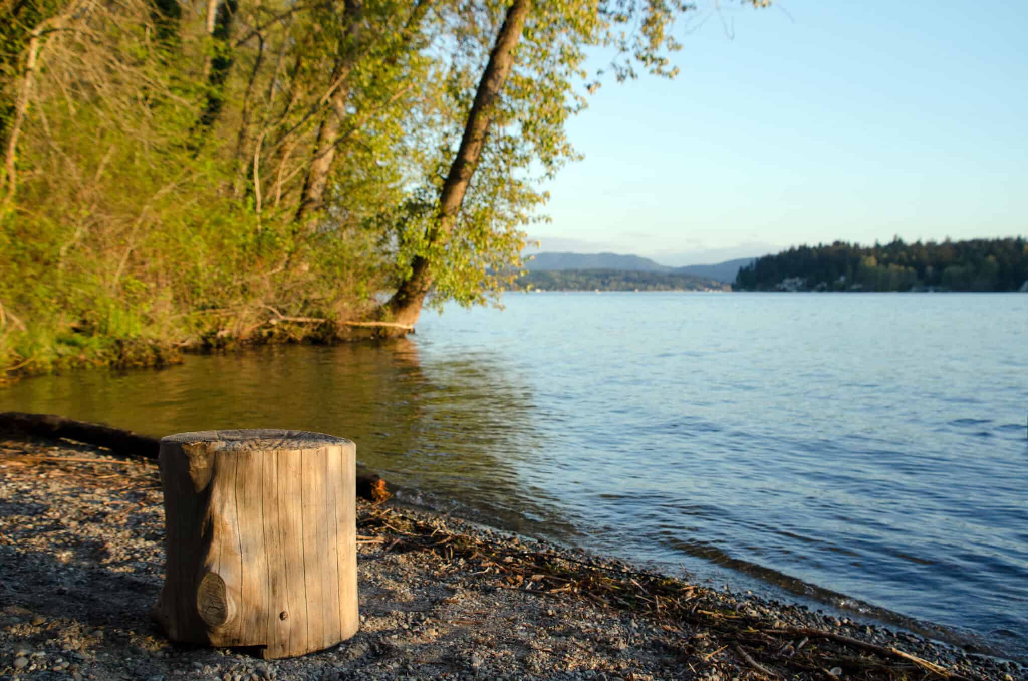 Timberlake Park - The Unofficial Sammamish Park Directory